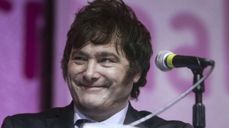 VIDEO: La curiosa pose de Javier Milei antes del debate por Ganancias ...